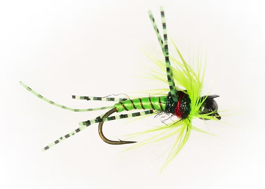 Category 3 Fly Company - Doshed Up – Hamills Taupo